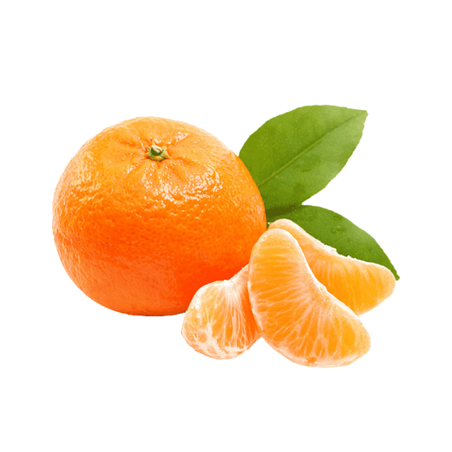 Muda Frutífera de Tangerina Mexerica do Rio Enxertada - AgroJardim