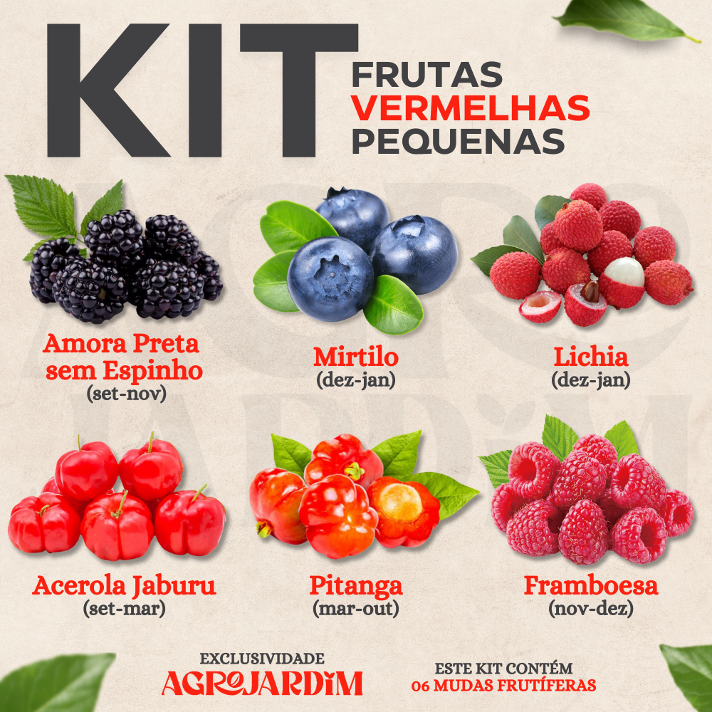 Kit Frutas Vermelhas - 06 Mudas Diversas - AgroJardim