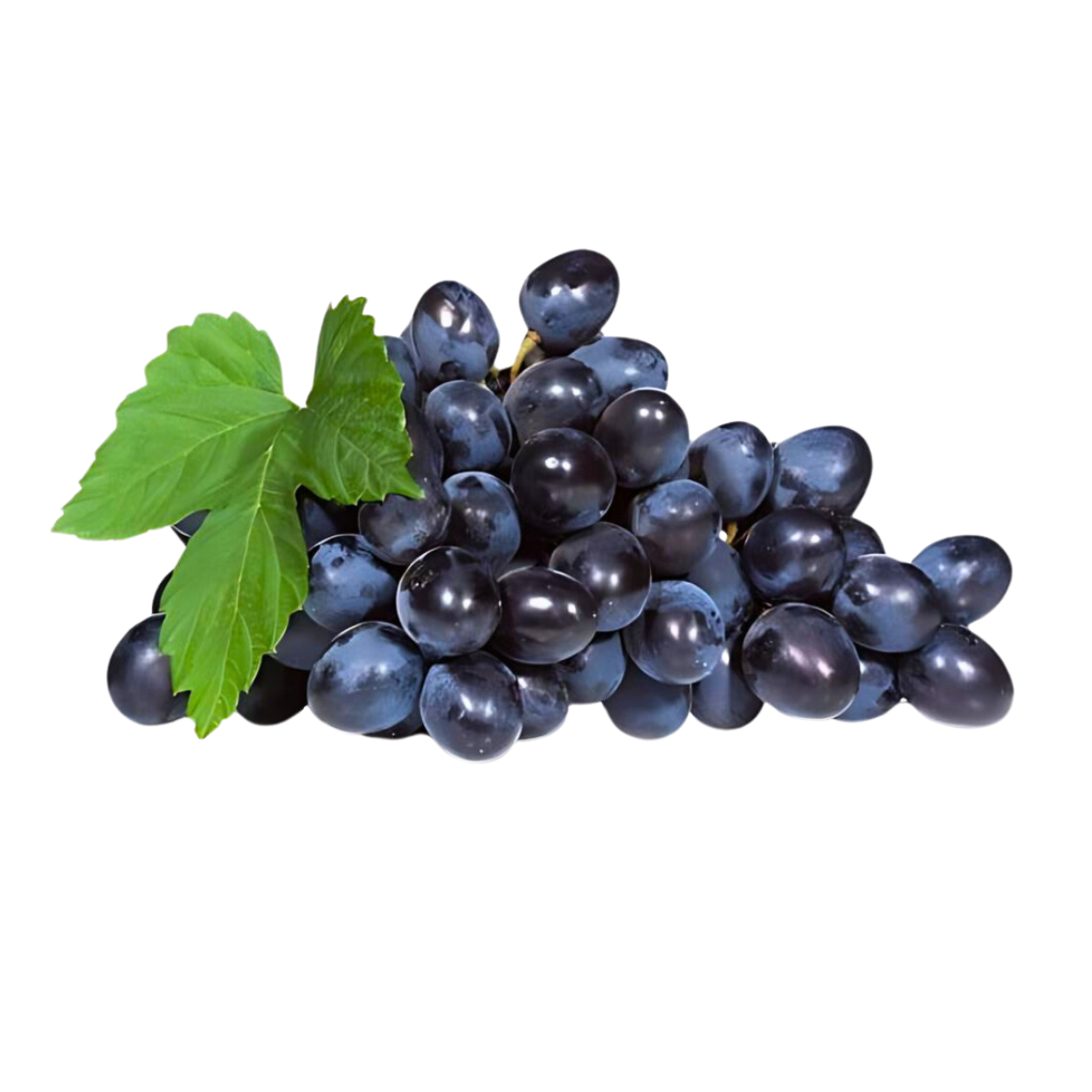 Muda Frutífera de Uva Isabel Enxertada - AgroJardim